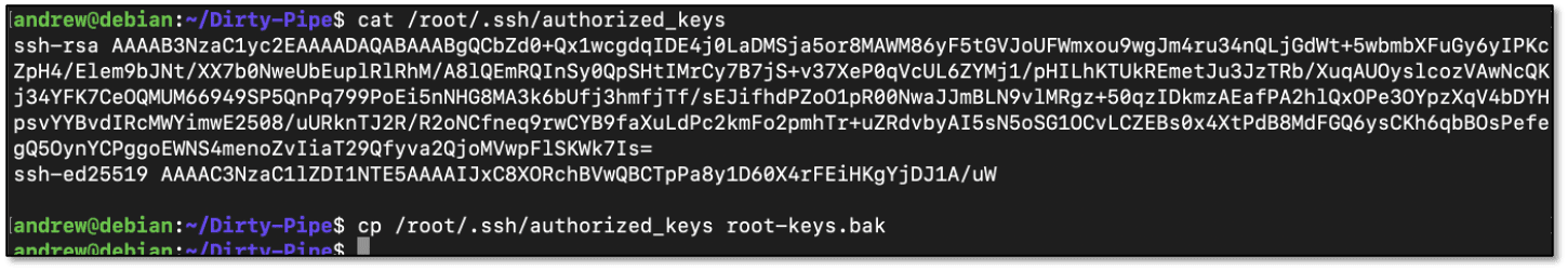 Exploiting Dirty Pipe Cve 2022 0847 Raxis