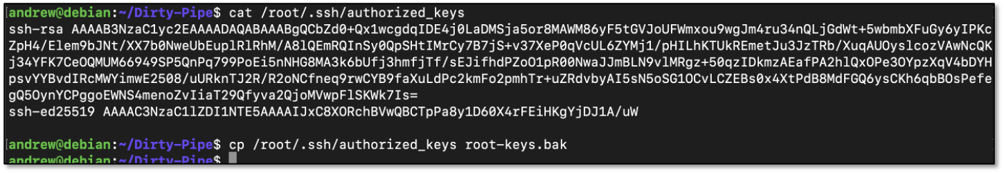 Exploiting Dirty Pipe (CVE-2022-0847) | Raxis