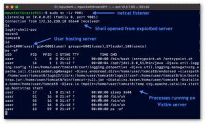 Log4j: How to Exploit and Test this Critical Vulnerability | Raxis